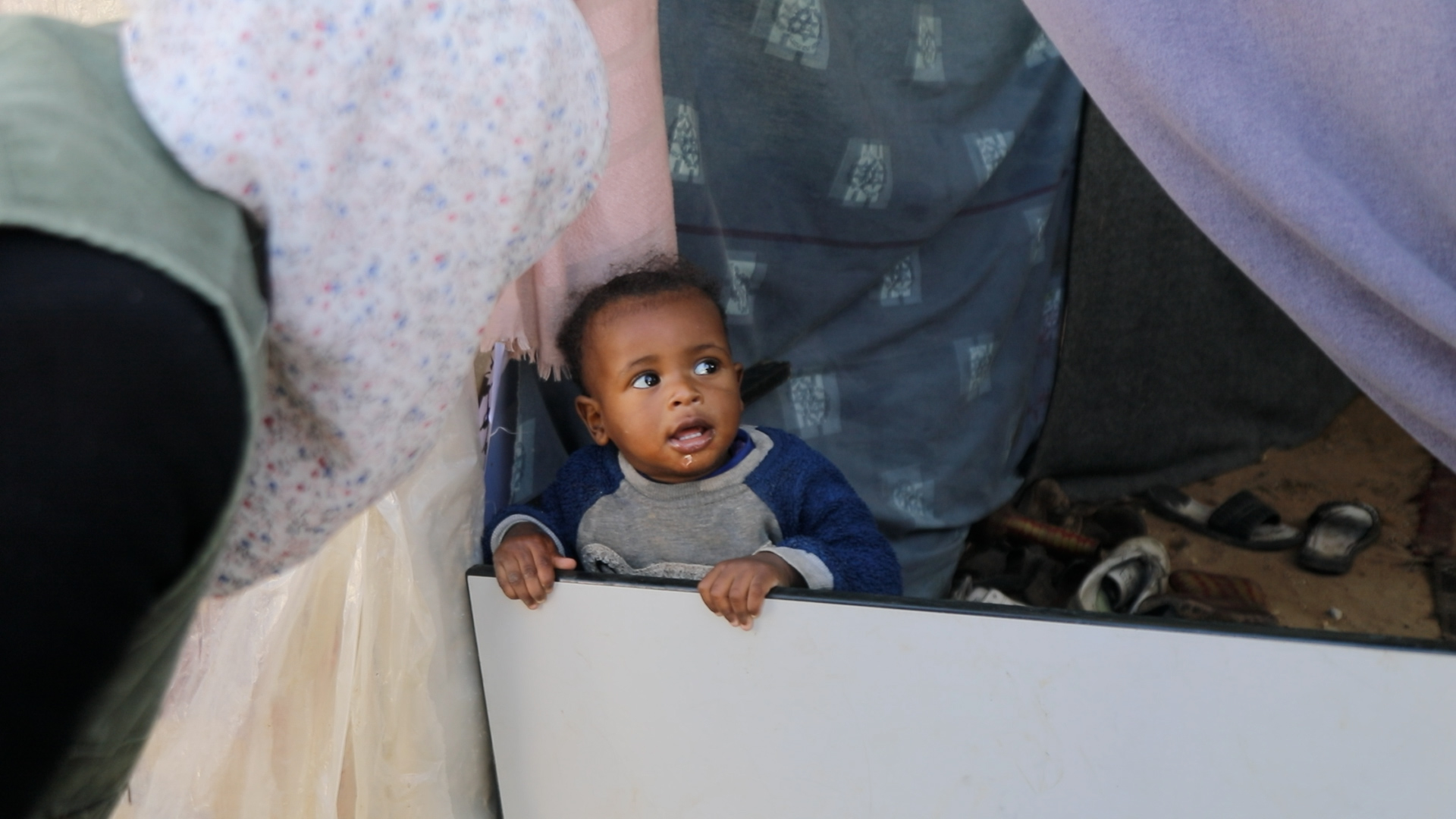 Zakat: Supporting Orphans and the Needy in Palestine | Taawon